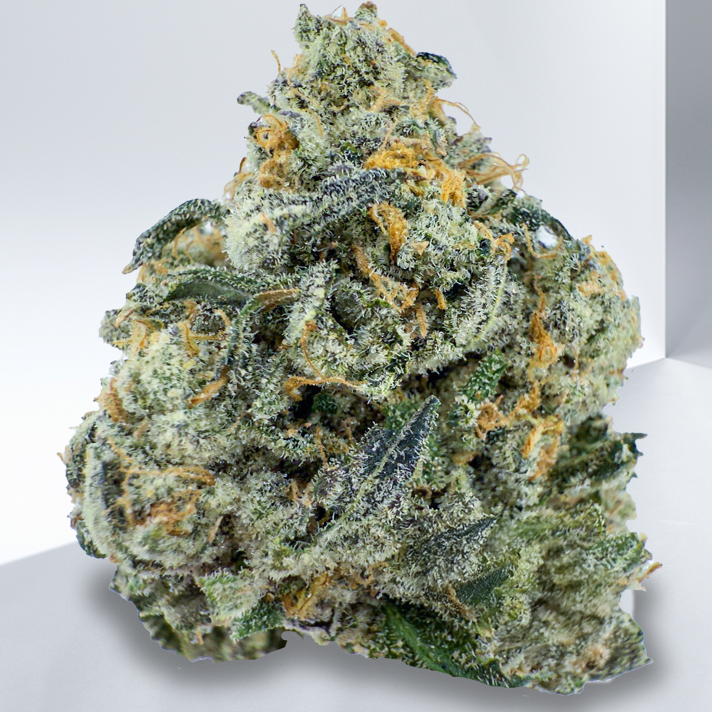 PINK G SHERB - nativemedicinegarden.ca